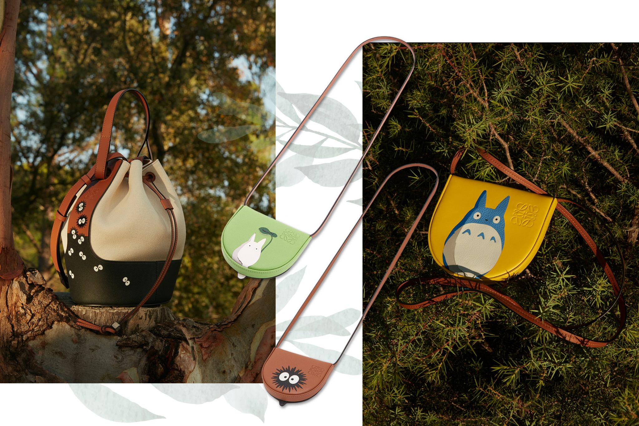 Loewe x My Neighbour Totoro: Flight of Fancy | Curatedition